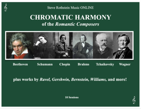 Online Classes | Steve Rothstein Music