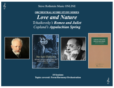 Online Classes | Steve Rothstein Music